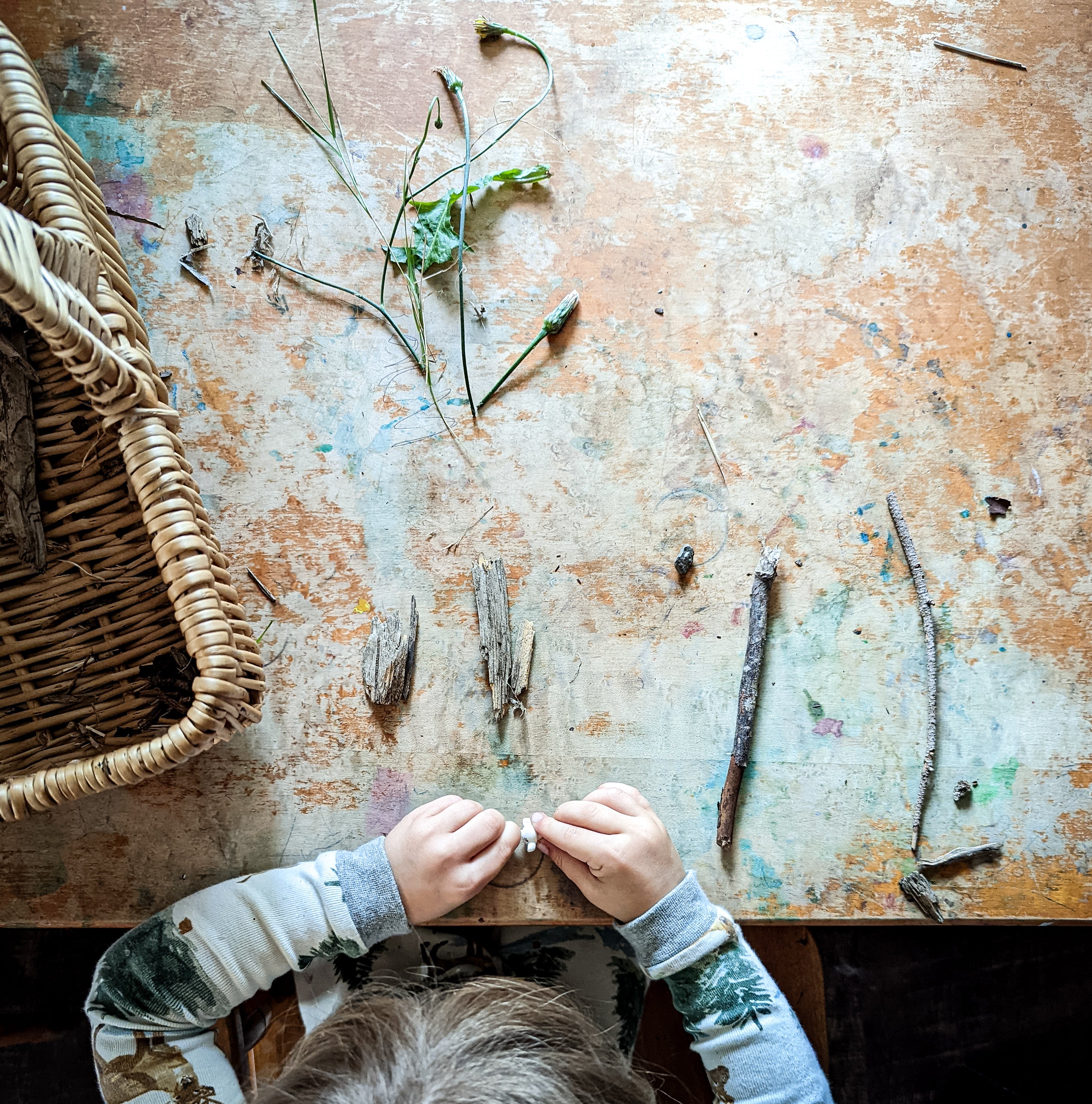 A Guide to Homeschool Nature Study for Children