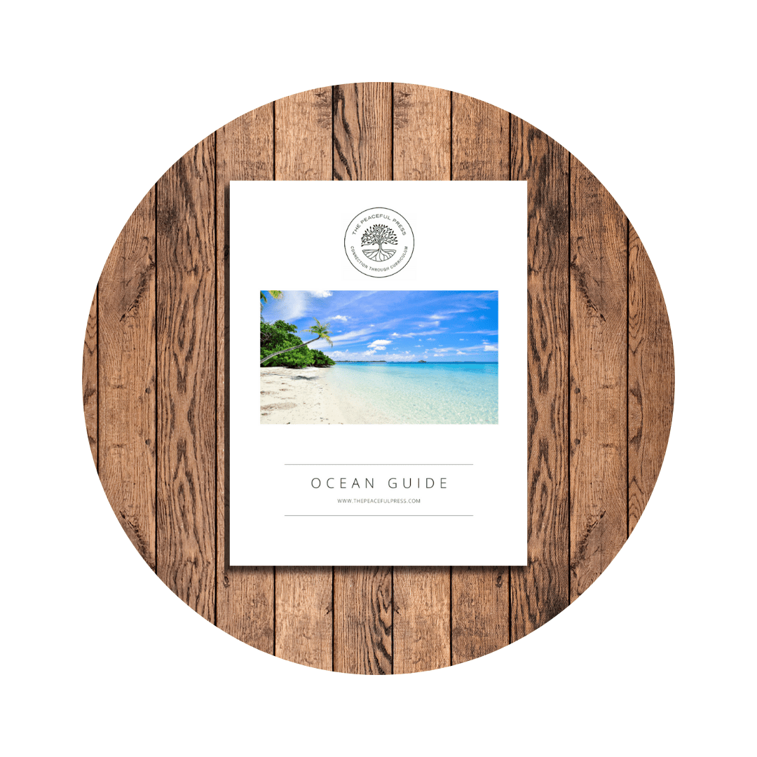 Nourishing Nature Kindergarten Ocean Guide